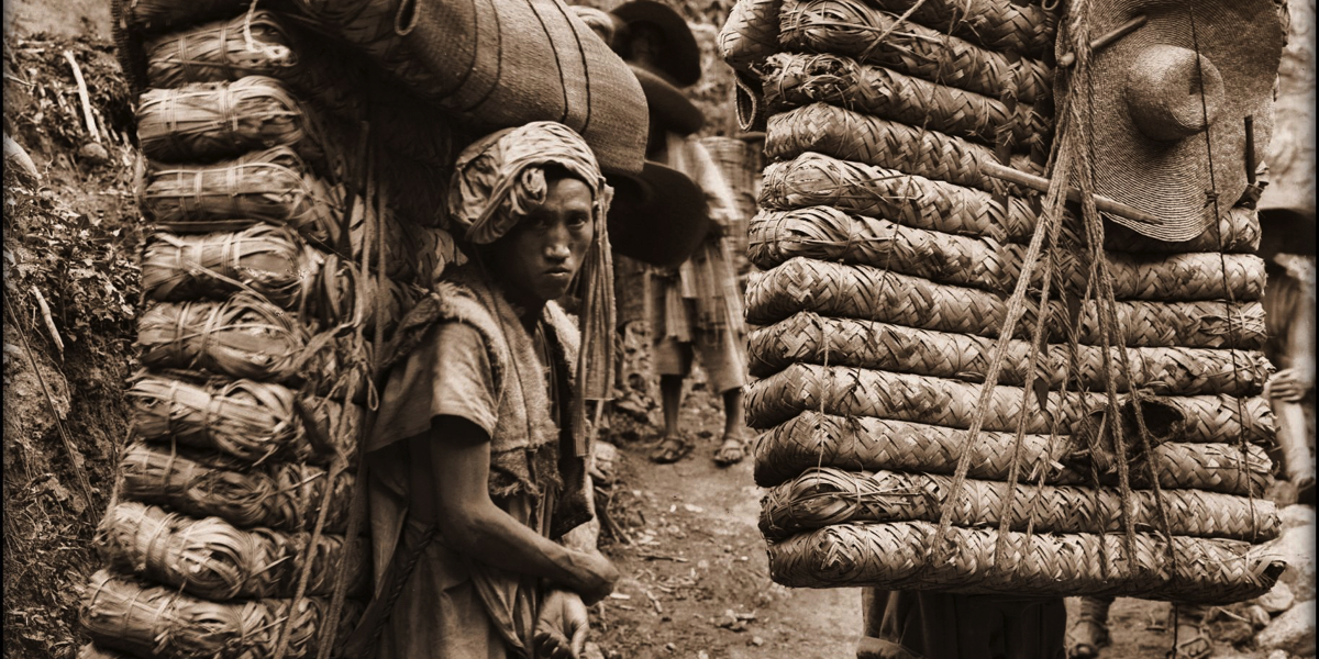 Global Social History: class and social transformation in world history