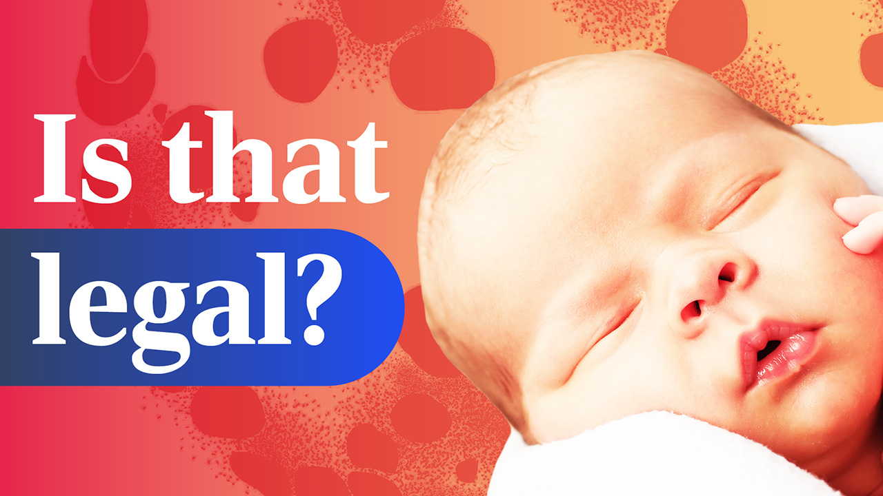 Stem Cells The Future Of Science Explained Lse