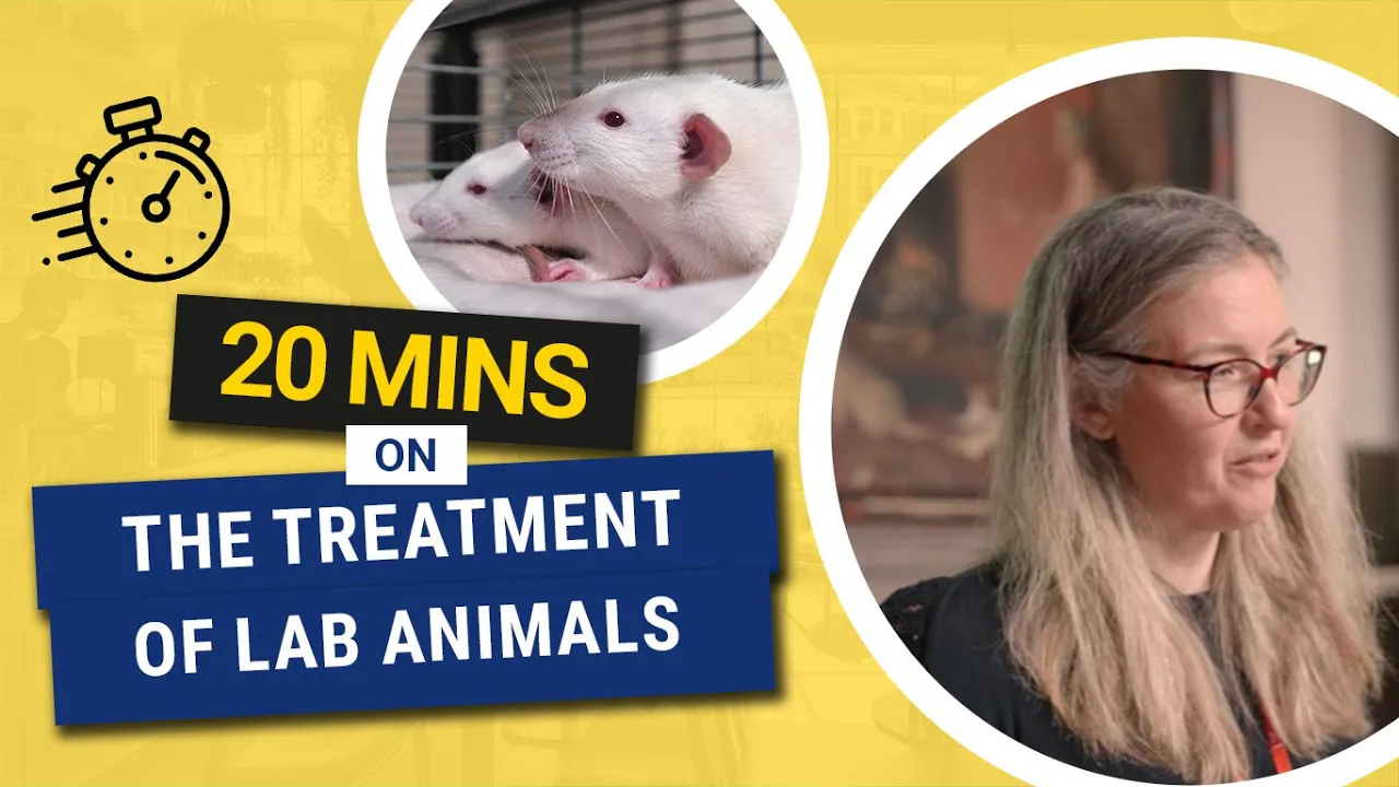 How relations with lab animals can inform understandings of care ...