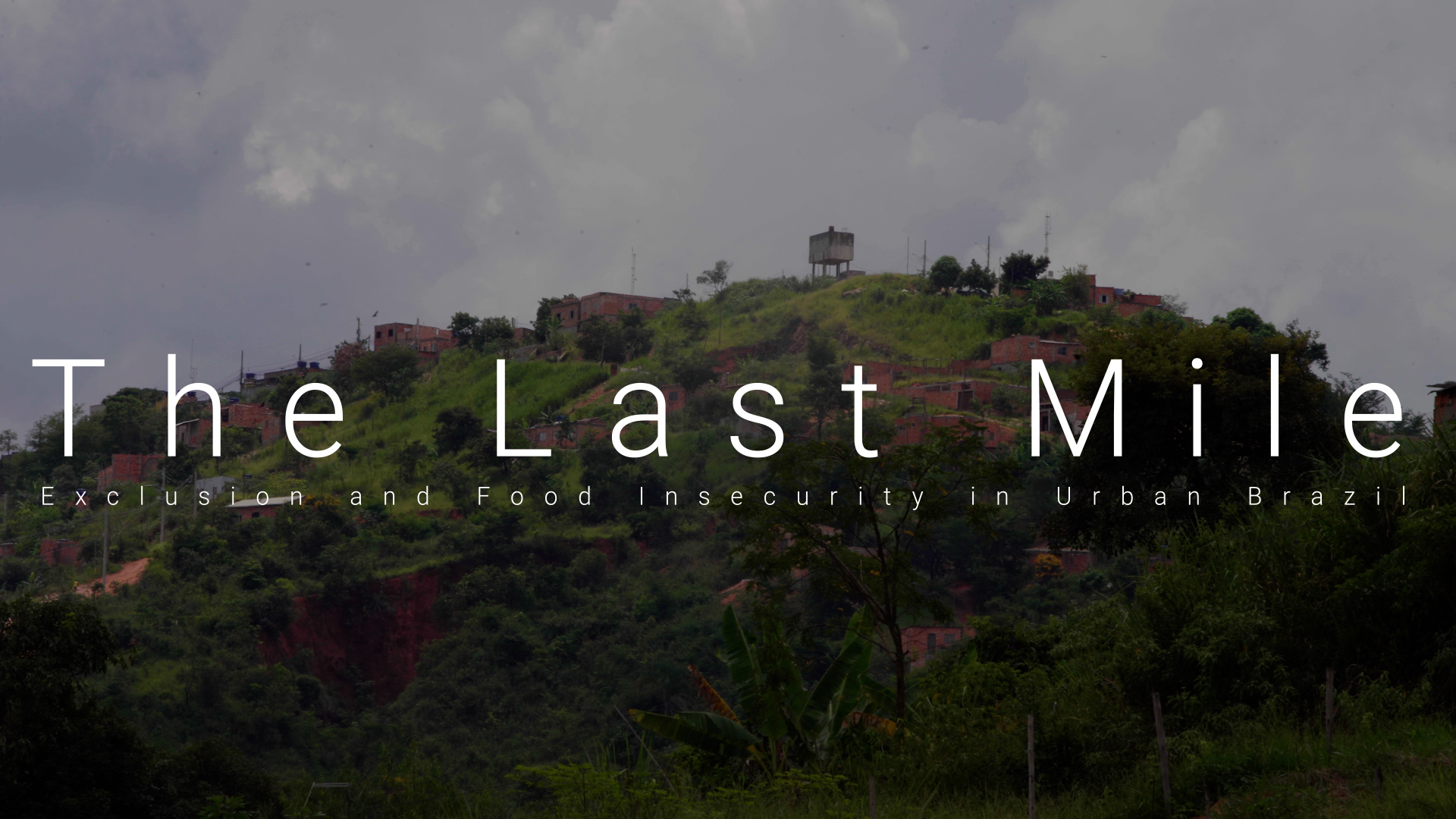The Last Mile: Exclusion and Food Insecurity in Brazil - LSE