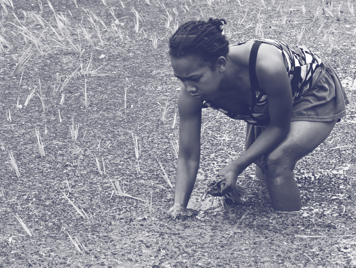 Declan Conway - Grantham Research Institute on climate change and the ...