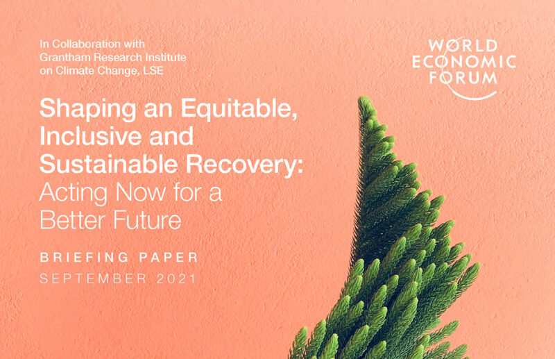 Nicholas Stern - Grantham Research Institute on climate change and the ...