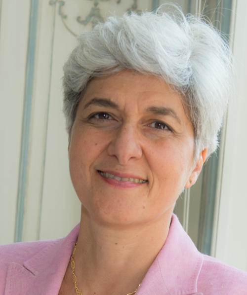 Aligning financial and monetary policies with the concept of double ...