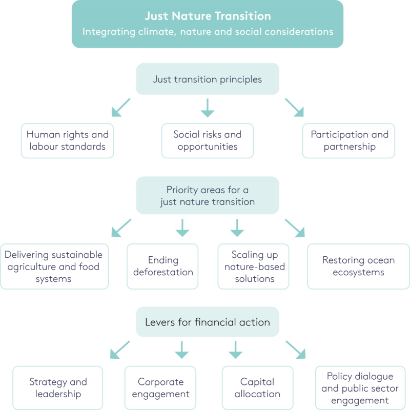 Just Nature: How finance can support a just transition at the interface ...