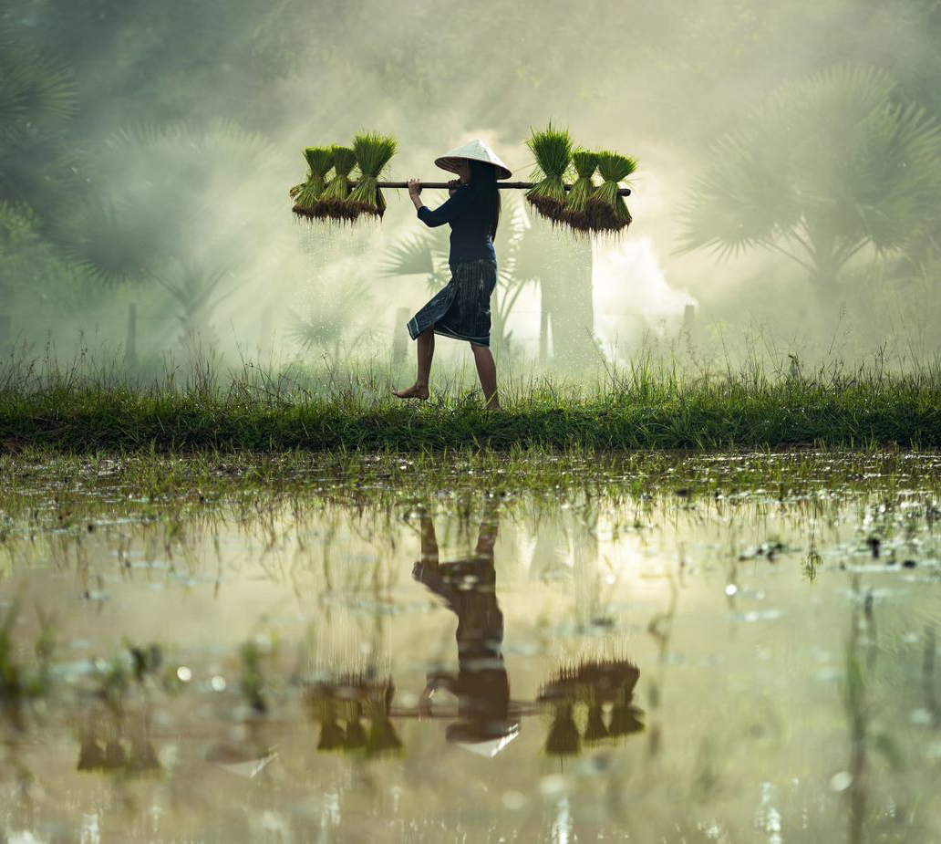 Just Nature launch webinar - video - Grantham Research Institute on ...