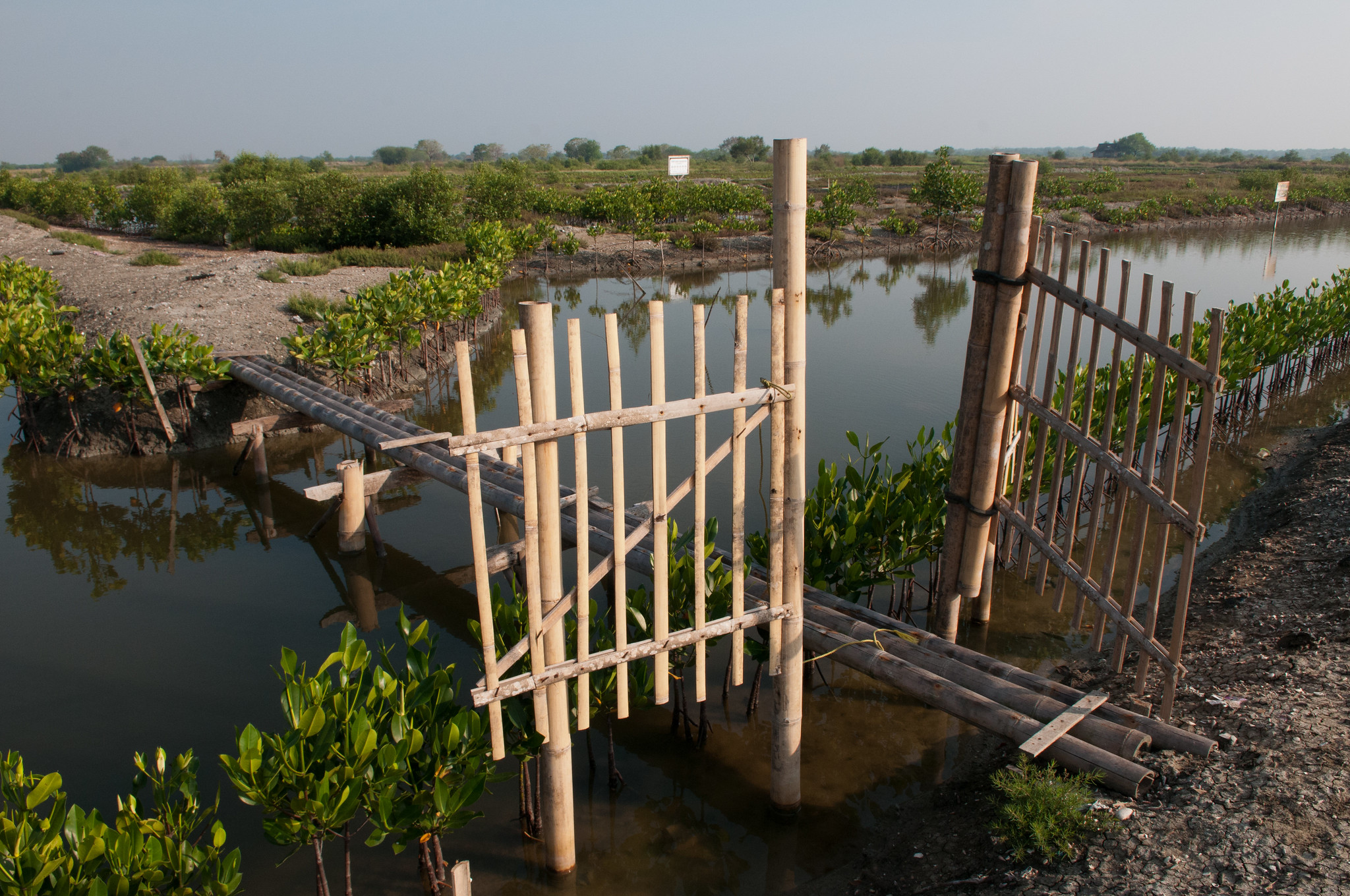 The importance of voluntary climate action catalysed by the COP process ...