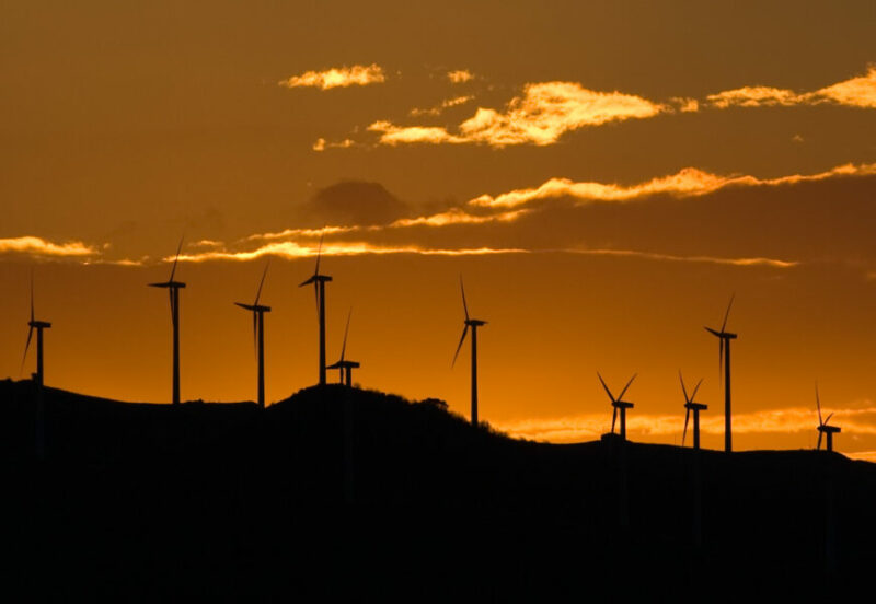 Joana Setzer - Grantham Research Institute on climate change and the ...