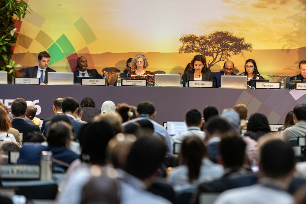 Managing the environmental risks of minerals and metals mining in the ...