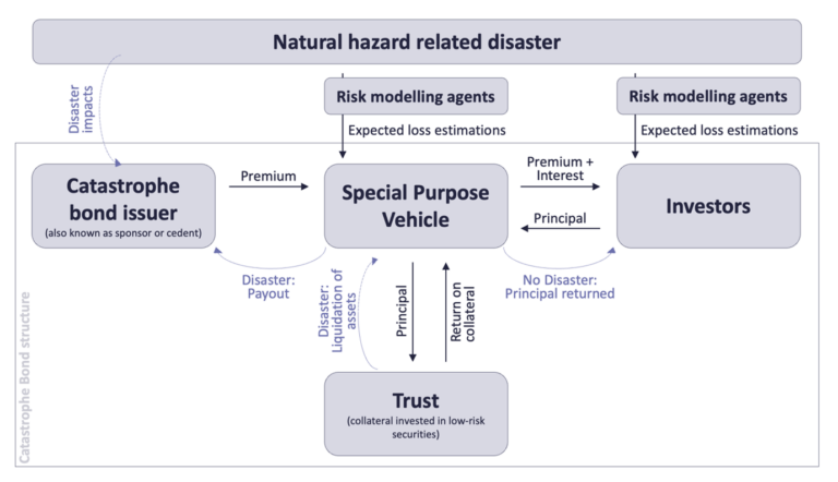 What role do catastrophe bonds play in managing the physical risks from ...