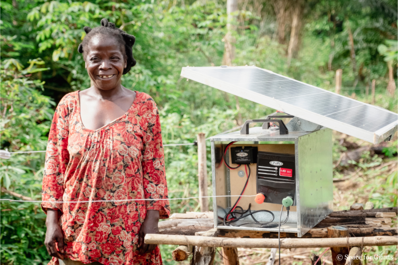 Farmers’ experiences of mobile electric fences for human–elephant ...