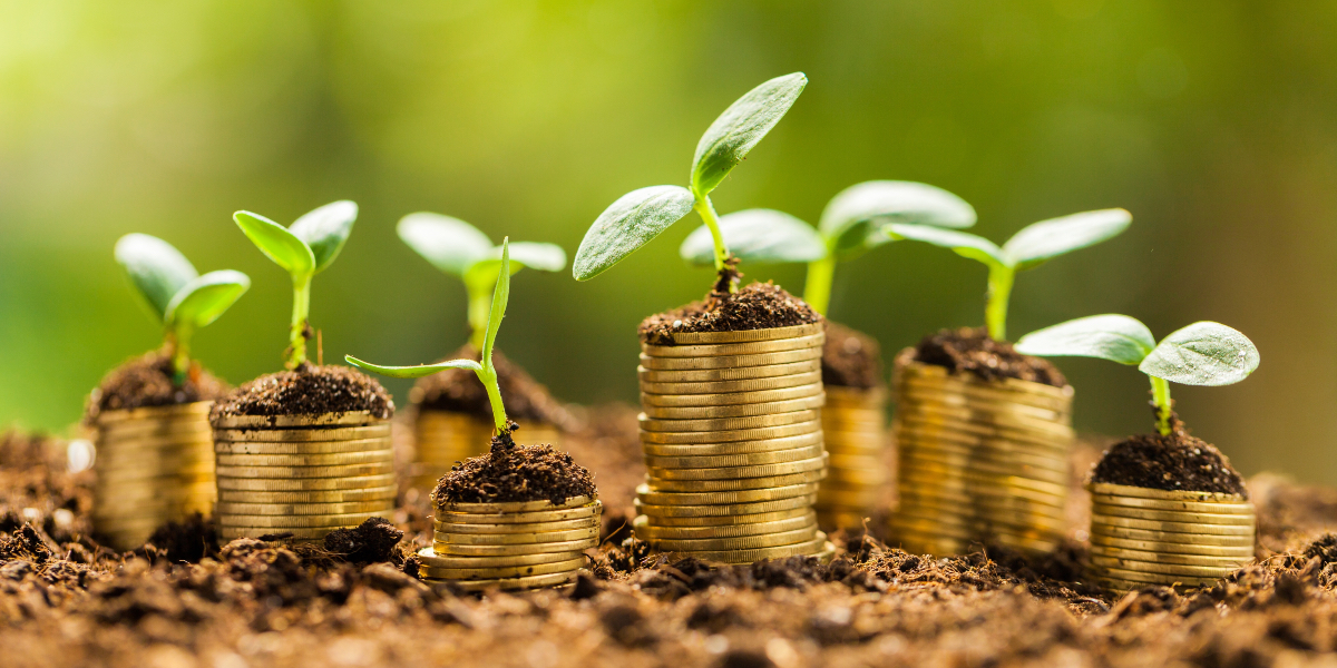 Sustainable Development Initiative